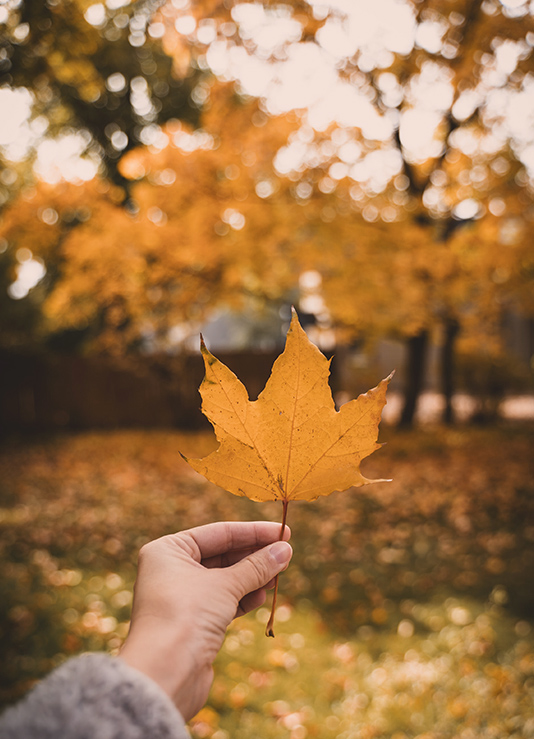 Was kann man im November machen - 5 Tipps für einen schönen Monat